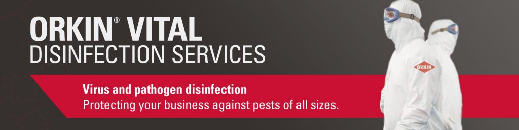 Orkin Vital – Orkin Iraq